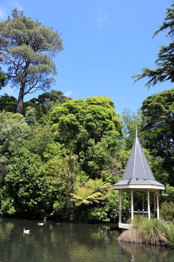 Duck Pond, Wellington Botanic Garden, New Zealand Stock Image - Image ...