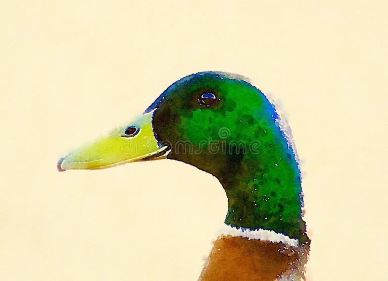 Digital Duck Stock Illustrations – 9,831 Digital Duck Stock ...