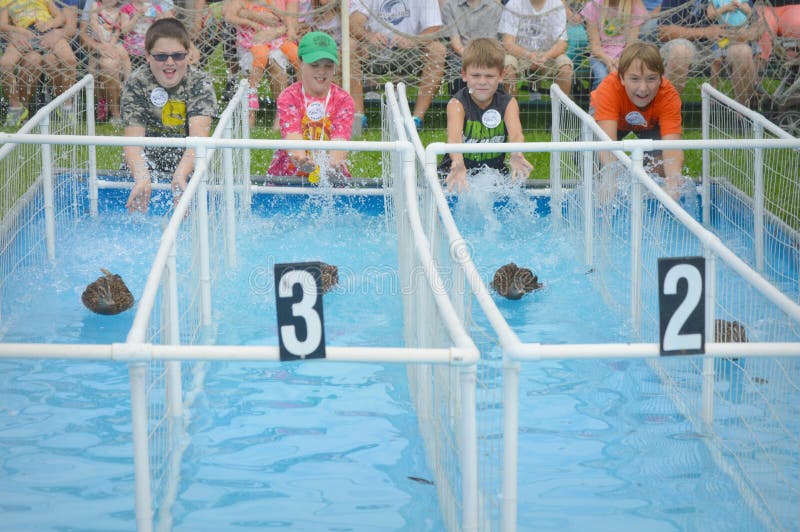 Duck Race editorial stock image. Image of feathers, county - 45390959