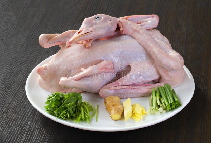 Duck, ready to be cooked stock image. Image of clean - 85784809