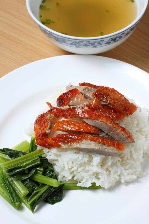 Duck with rice stock photo. Image of rice, dish, gourmet - 25326876