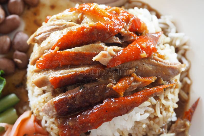 Duck with rice stock photo. Image of sauce, dish, gourmet - 65233284