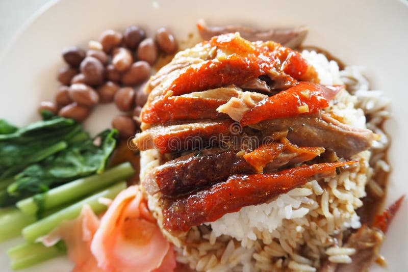 Duck with rice stock image. Image of asia, rice, meal - 65233309