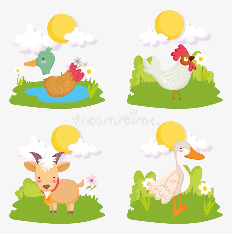 Duck Rooster Goat Grass Sun Farm Animals Stock Vector - Illustration of ...