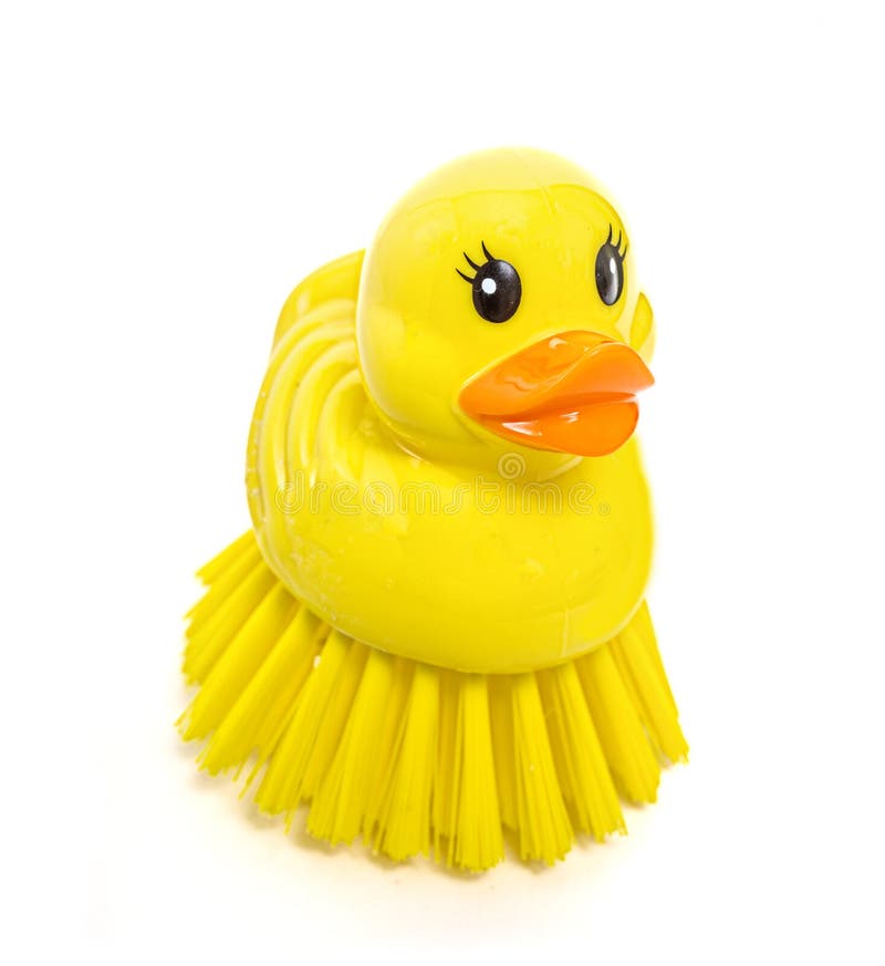 Duck Scrubber stock photo. Image of clean, white, kitchen - 48437648