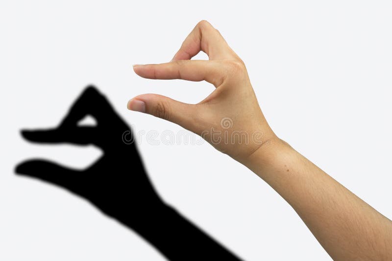 Duck shadow hand stock image. Image of short, nails, theatre - 62370911
