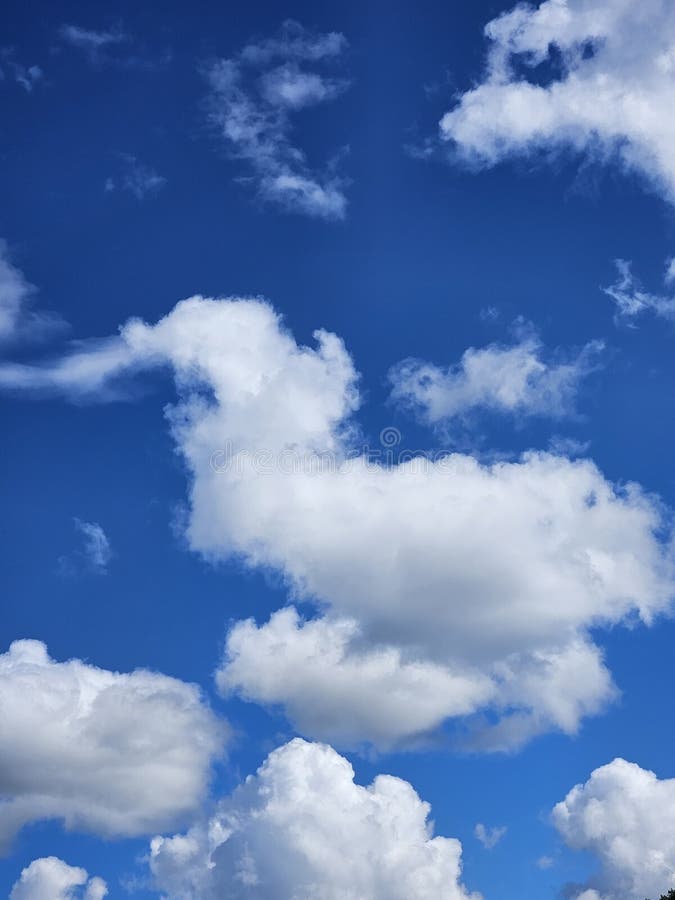 Duck Shaped Cloud in Bright Blue Sky Stock Photo - Image of duck ...