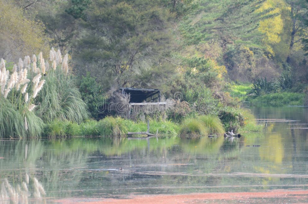 Duck Shooting Hide stock image. Image of trees, deciduous - 93522043