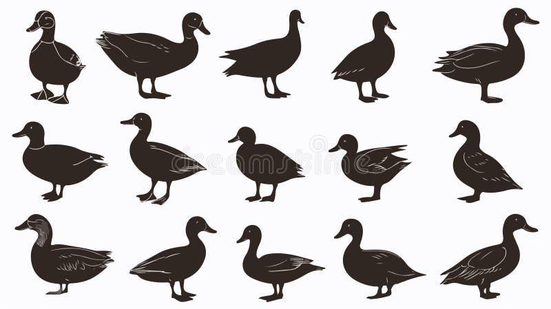 Duck Silhouettes Collection - Detailed Vector Illustration for Design ...