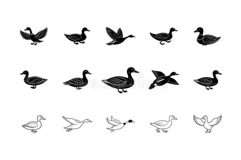 Duck Silhouettes Vector Set Design Stock Illustration - Illustration of ...