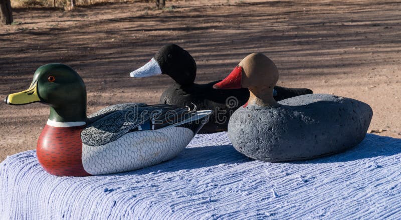 This Duck Stands Out from the Rest Stock Photo - Image of decorative ...