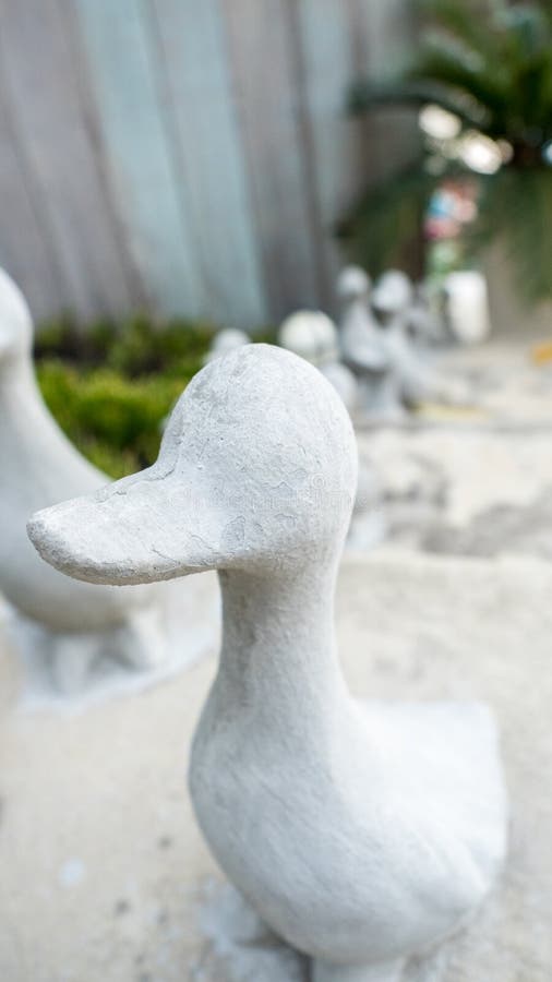 Duck statue in garden stock photo. Image of figurine - 78611548