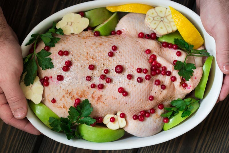 Duck Stuffed with Apples and Cabbage Ready for Cooking Stock Image ...