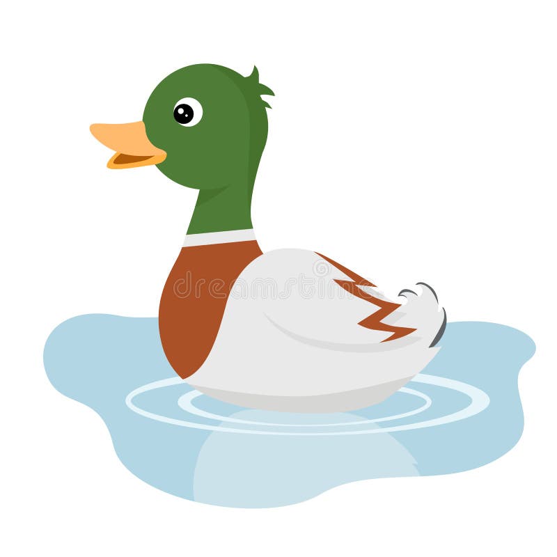 Duck Swimming in the Lake. Cartoon Isolated Vector Illustration Stock ...
