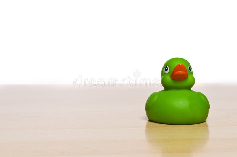 Duck on a table over white stock image. Image of nowbody - 21476009