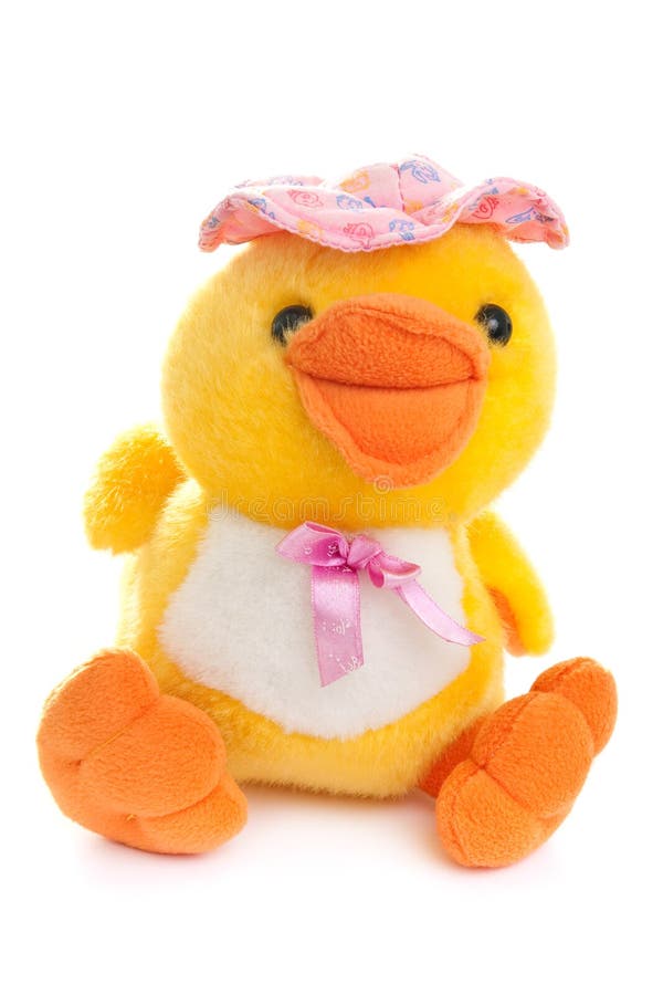 Ducky in Blue Stocking stock photo. Image of delicate - 14756020