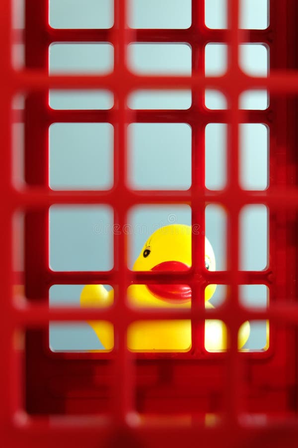 Duck toy behind the prison stock photo. Image of inside - 60977852