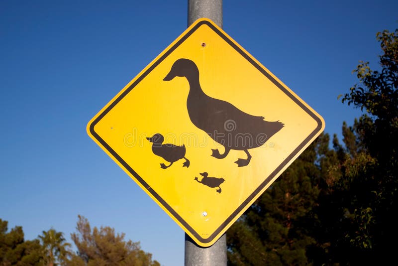 Duck traffic sign stock photo. Image of post, outdoor - 12068228