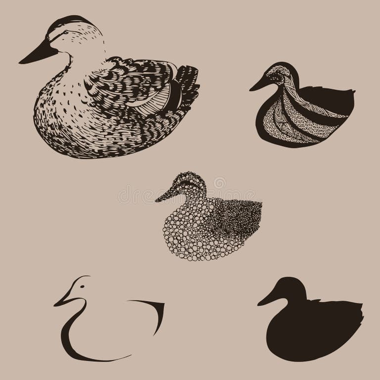 Duck Transformation Stock Illustrations – 100 Duck Transformation Stock ...
