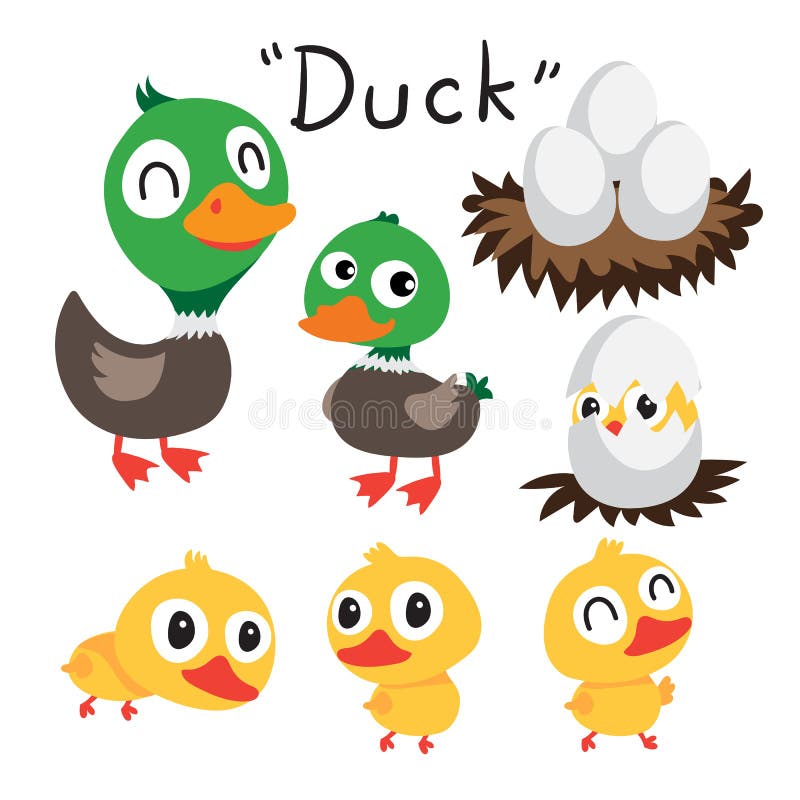 Duck Vector Collection Design Stock Illustration - Illustration of ...