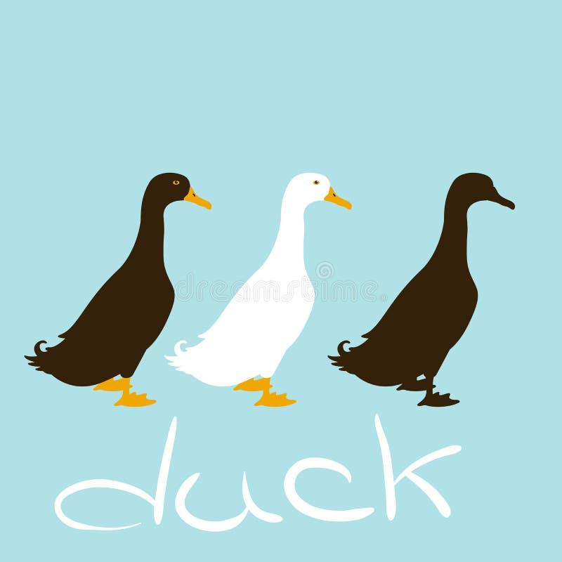 Duck Vector Illustration Style Flat Side Profile Stock Vector ...