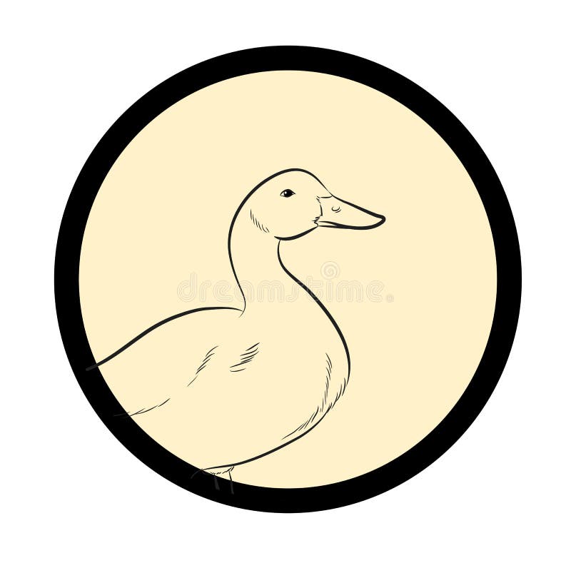 Duck Vintage Drawing Vector Stock Vector - Illustration of vintage ...