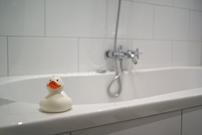 Duck waiting on the edge. stock image. Image of tiles - 3222819