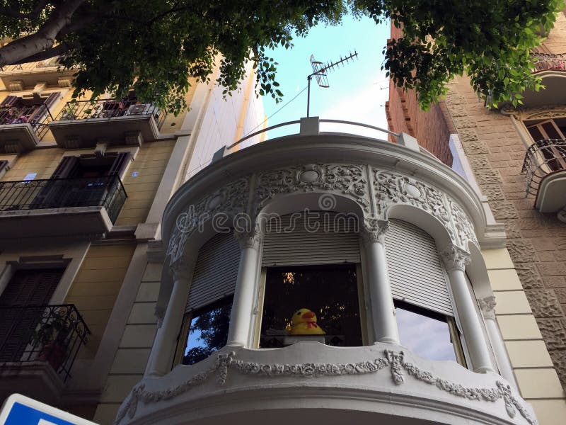 Duck On The Window. New Mexico. Stock Image - Image of unexpectedly ...