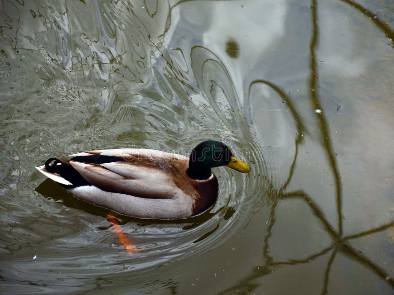 emp.rar (Emp.rar) - Photographer profile