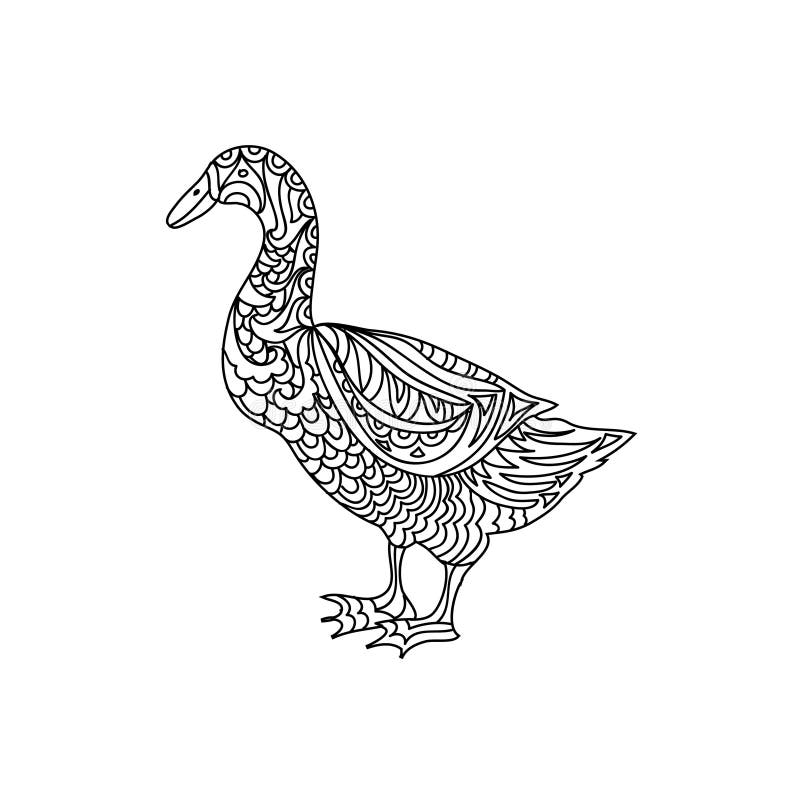 Duck Zentangle Coloring Page Stock Illustration - Illustration of ...