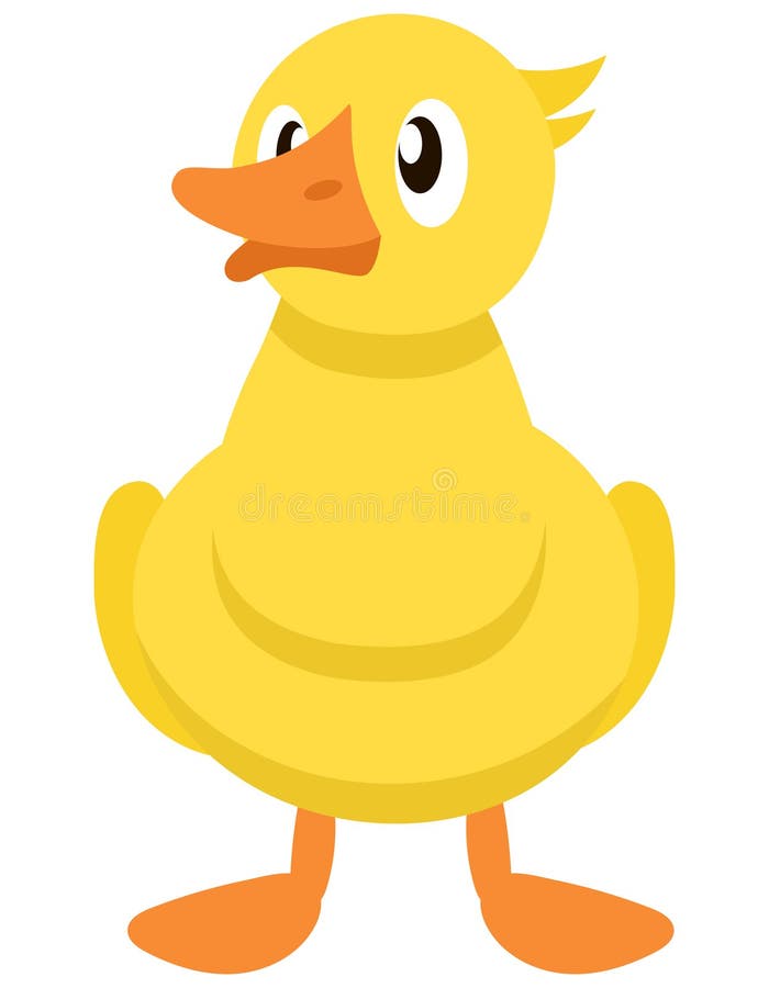 Duck front view stock illustration. Illustration of isolated - 187366316