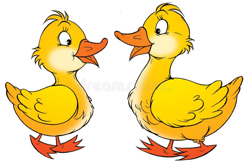 Ducks stock illustration. Illustration of children, album - 1985407