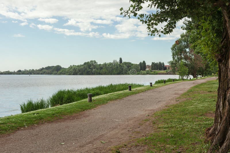 Ducks Family on Mantua Lake Stock Photo - Image of tourism, sunny: 72313562