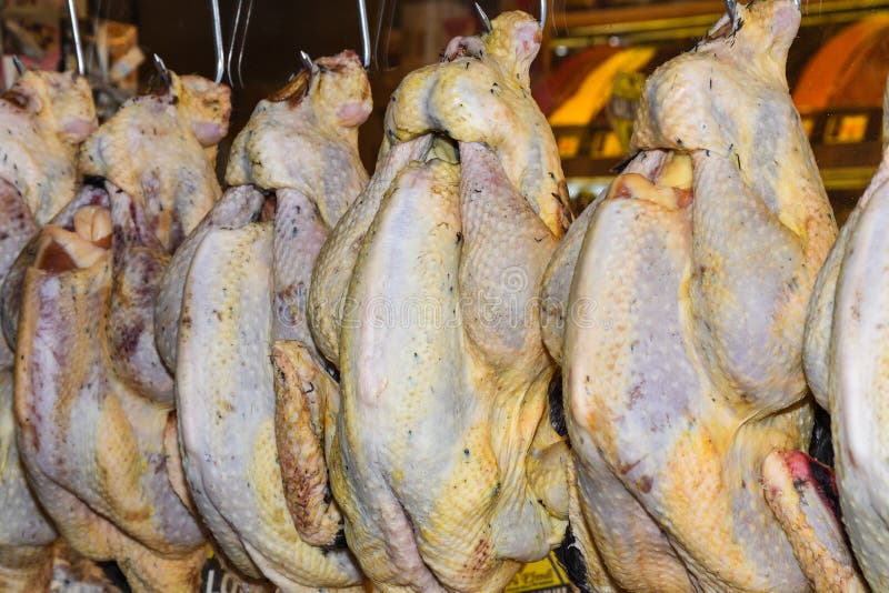 Ducks Hanging on Rack Showcase in Restaurant`s Kitchen Stock Photo ...