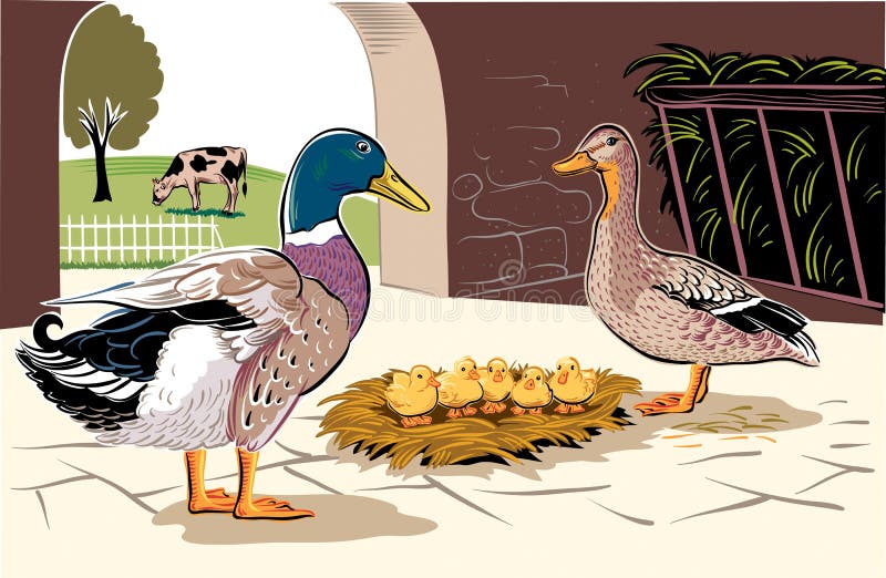 Ducks in hatching stock illustration. Illustration of male - 84673970