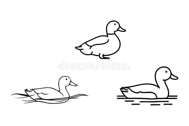 Ducks Line Art Vector Illustration with White Background. Stock ...