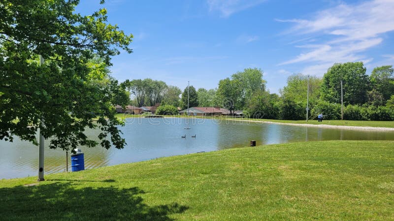 Ducks in a Pond in the Spring on a Pretty Day Stock Photo - Image of pretty, spring: 390234438