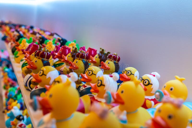 Ducks on a shelf stock photo. Image of kids, store, duck - 133731544