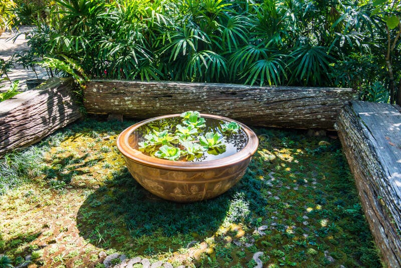 Clay pot on clay basin stock photo. Image of grass, drink - 14182194