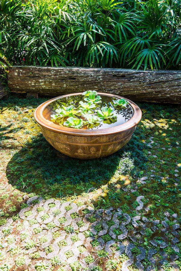Clay pot on clay basin stock photo. Image of grass, drink - 14182194