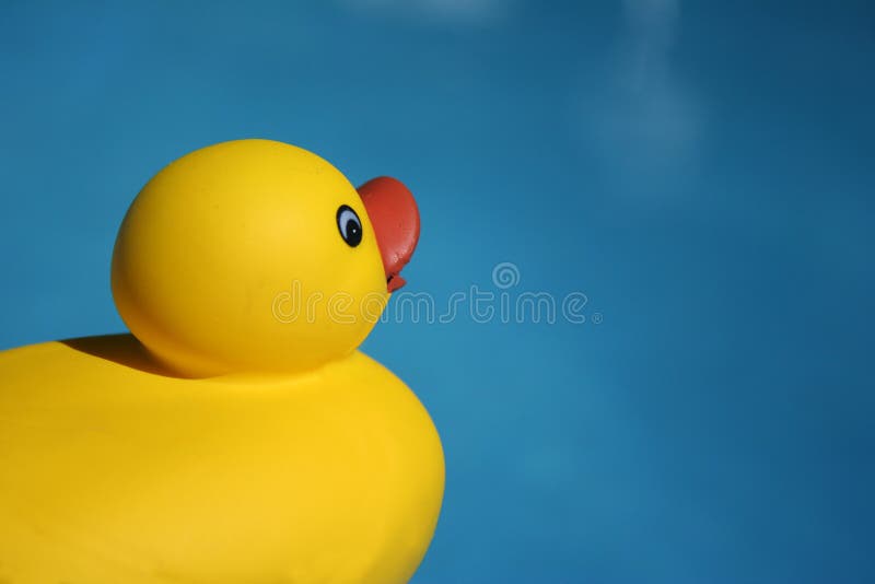 Ducky stock photo. Image of relax, sanitary, towel, washing - 250426