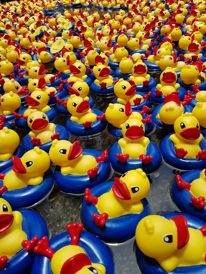 Ducky bath stock image. Image of leisure, play, patitos - 101713273