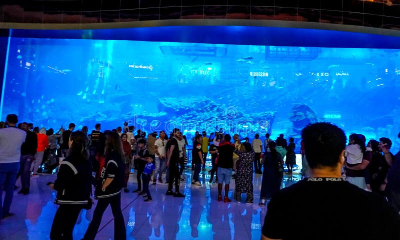 Dudai, UAE - March,18,2023: Huge Aquarium with Fish in the Dubai Mall ...