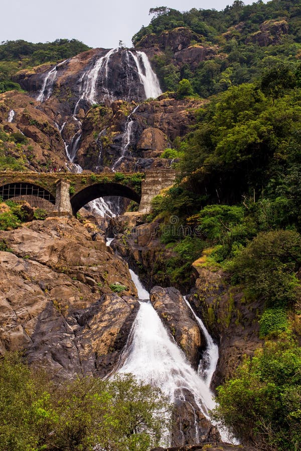 Dudhsagar stock image. Image of jungle, landscape, green - 63079599
