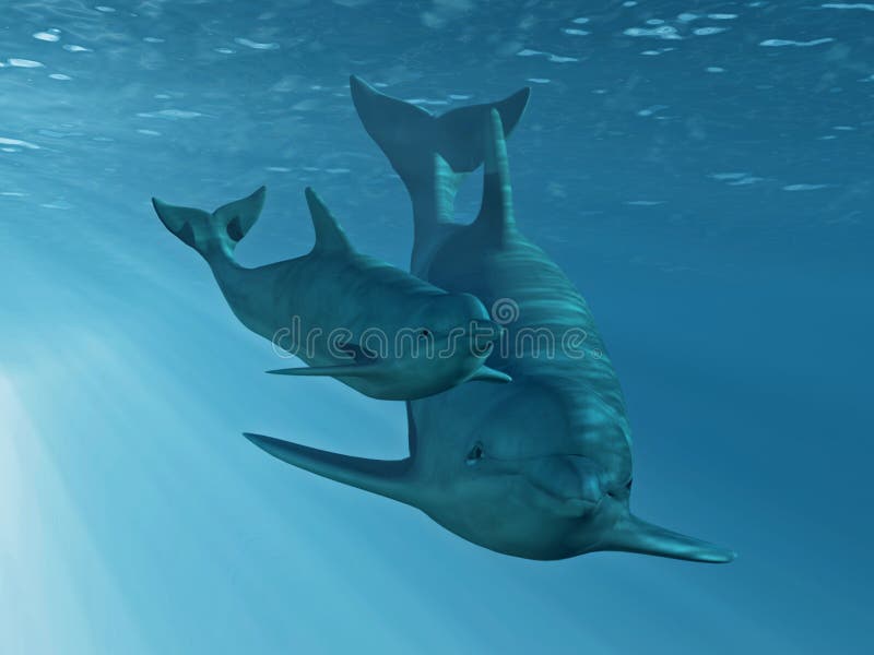 Due delfini illustrazione di stock. Illustrazione di delfini - 11479009