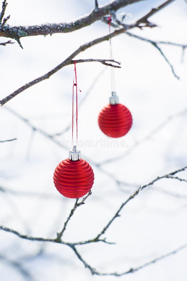Due palle di natale fotografia stock. Immagine di ornamento - 35640900