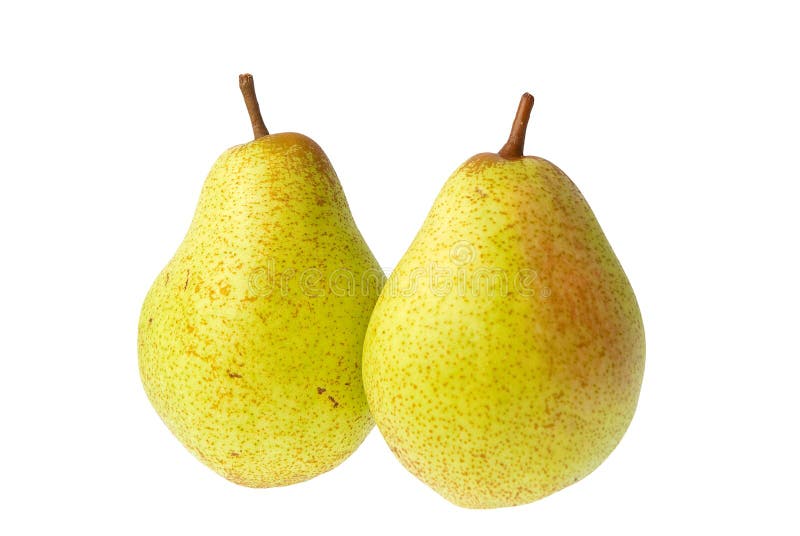 Due pere immagine stock. Immagine di salubrità, maturo - 16157719