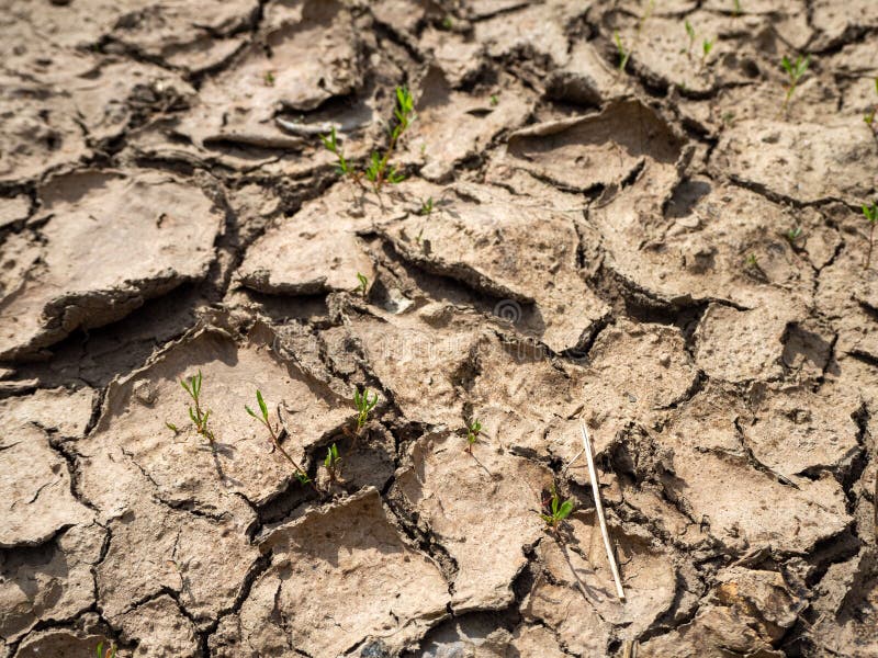 Fissured Soil Background Stock Photos - Free & Royalty-Free Stock ...