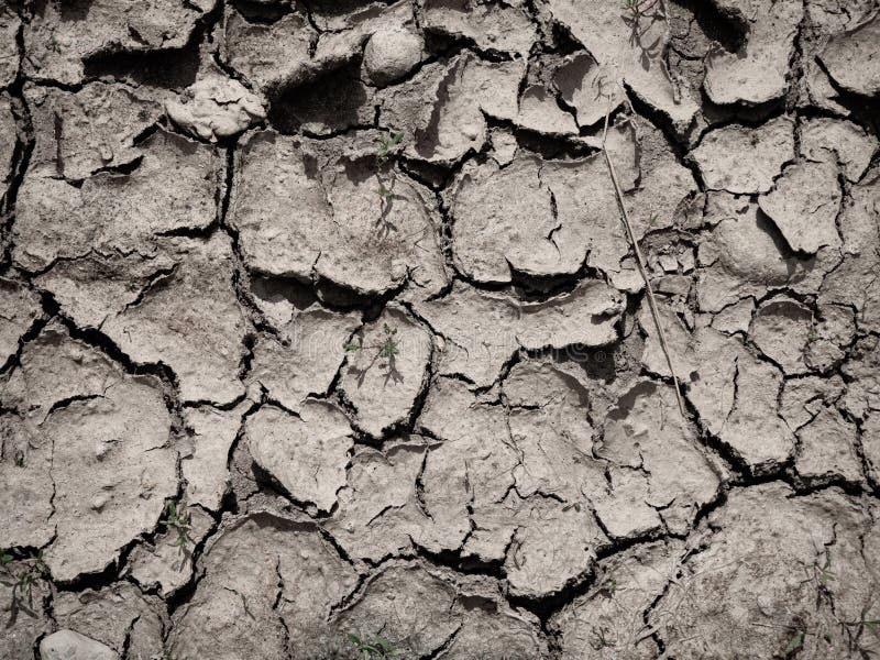 Fissured Soil Background Stock Photos - Free & Royalty-Free Stock ...