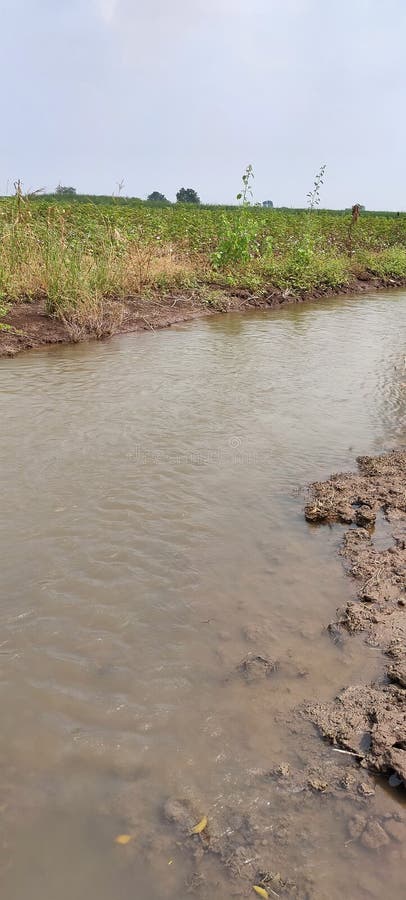 Due To Heavy Rains, the Stream Started Flowing More, so the Water in ...